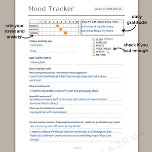 Daily Mood Tracker Journal Printable | Mood Tracker Printable | PDF ...