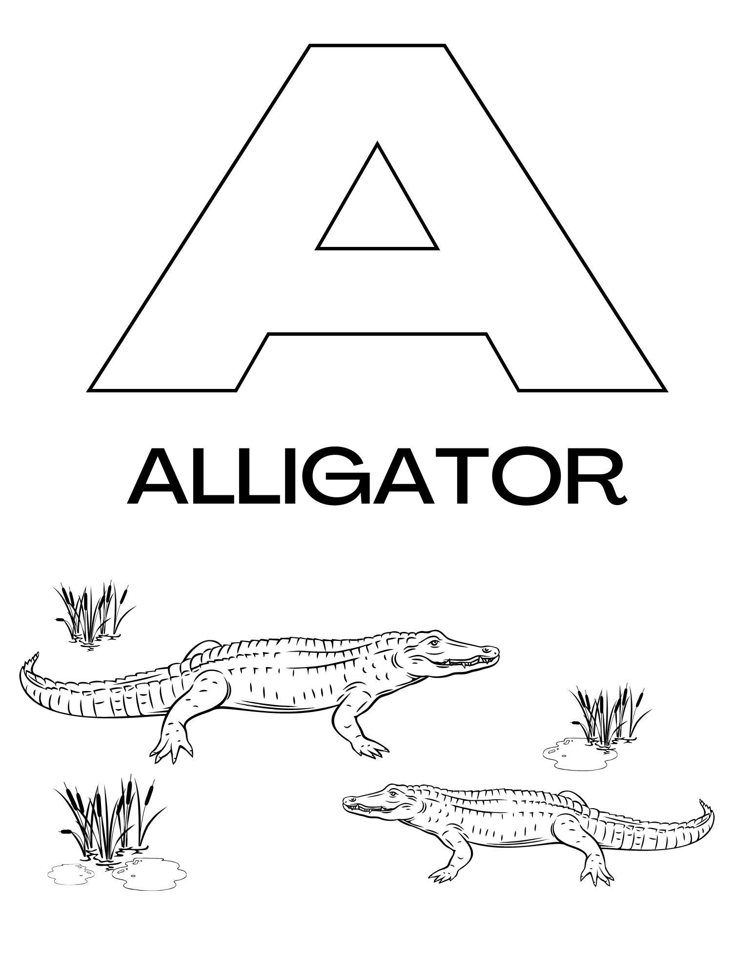 Kid's ABC Animals Coloring Pages - Etsy