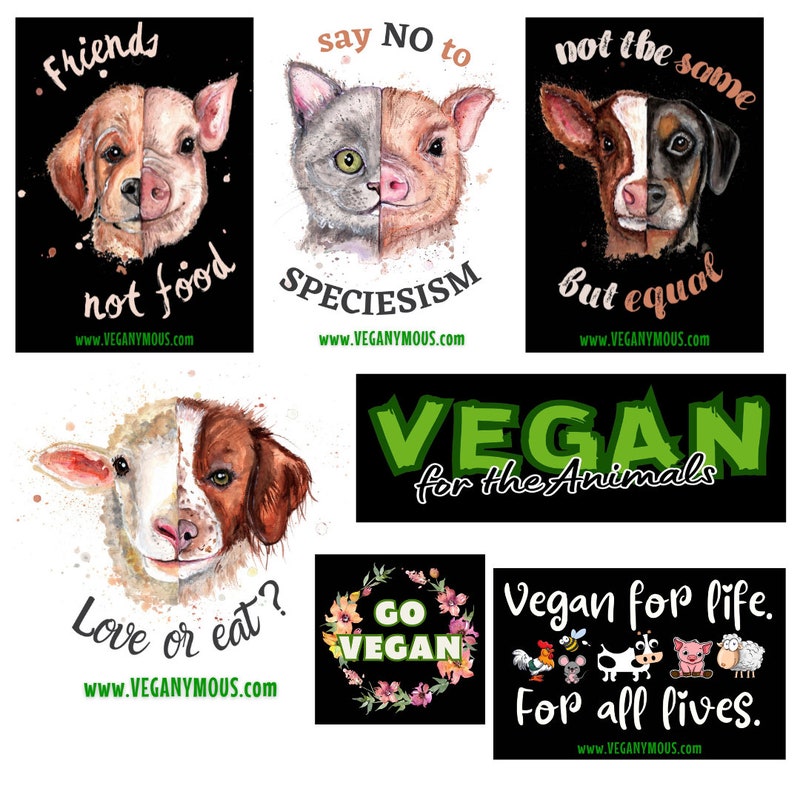 Vegan Sticker - Etsy UK