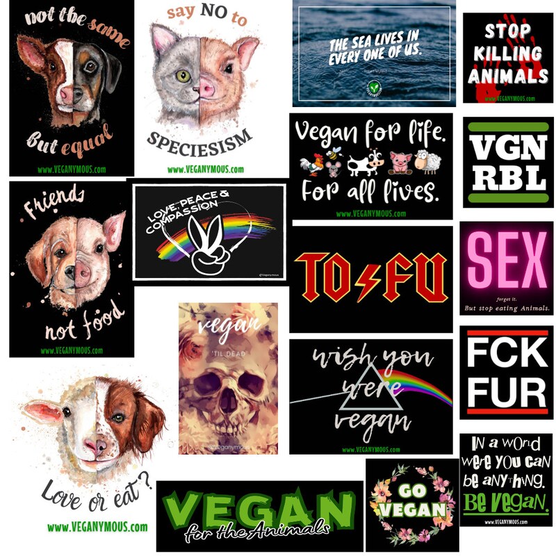 Animal Rights - Etsy