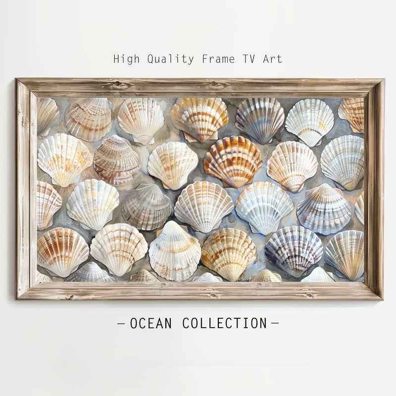 Framed Shell Art - Etsy
