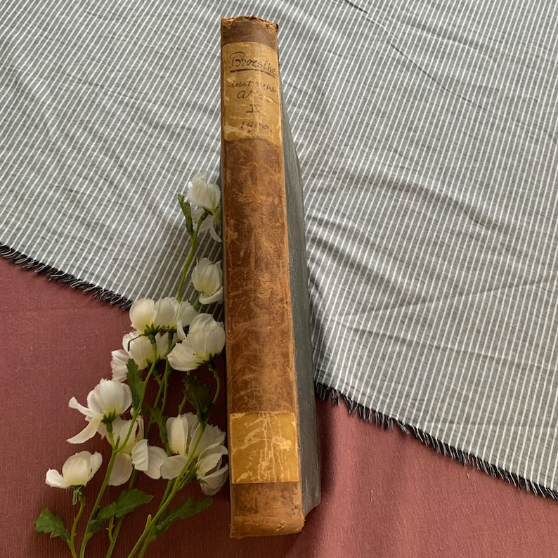 1900 Anatomischer Atlas German Anatomy Book Vintage Decor Book - Etsy