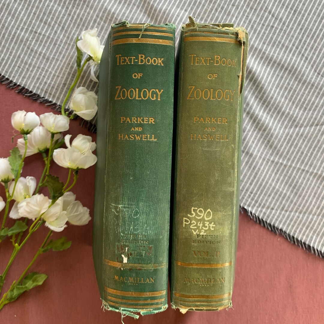 Text-book of Zoology Vintage Decor Book Vintage Book Set - Etsy