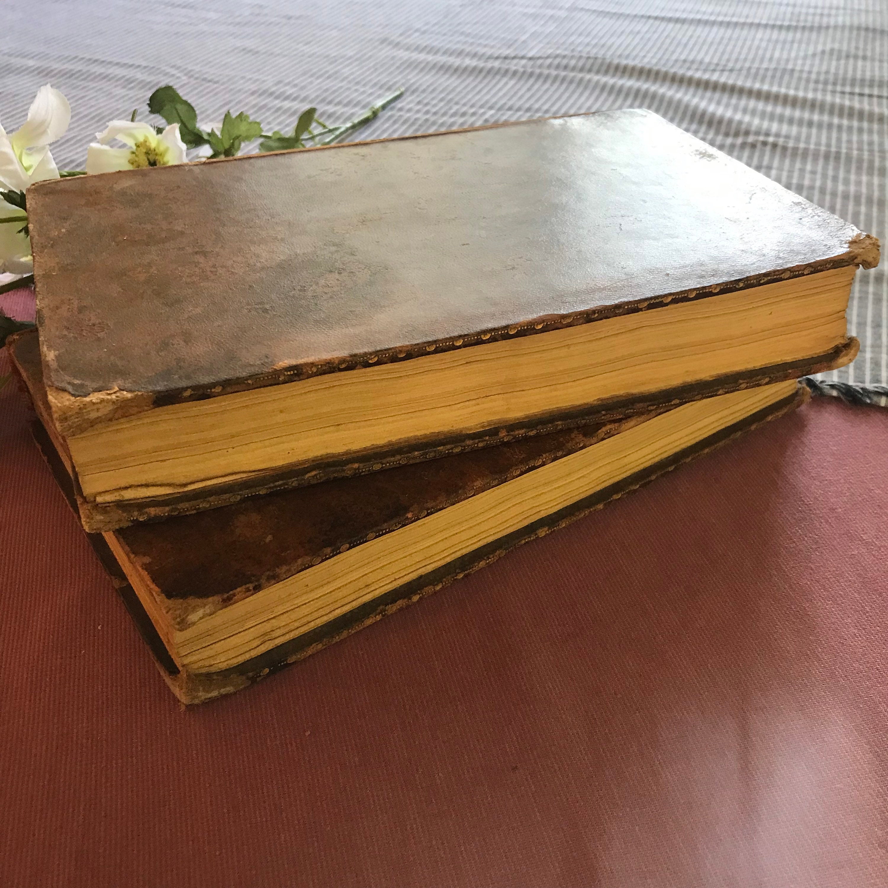 New Picture of Paris Vintage Rare Book Set of 2 Volumes - Etsy
