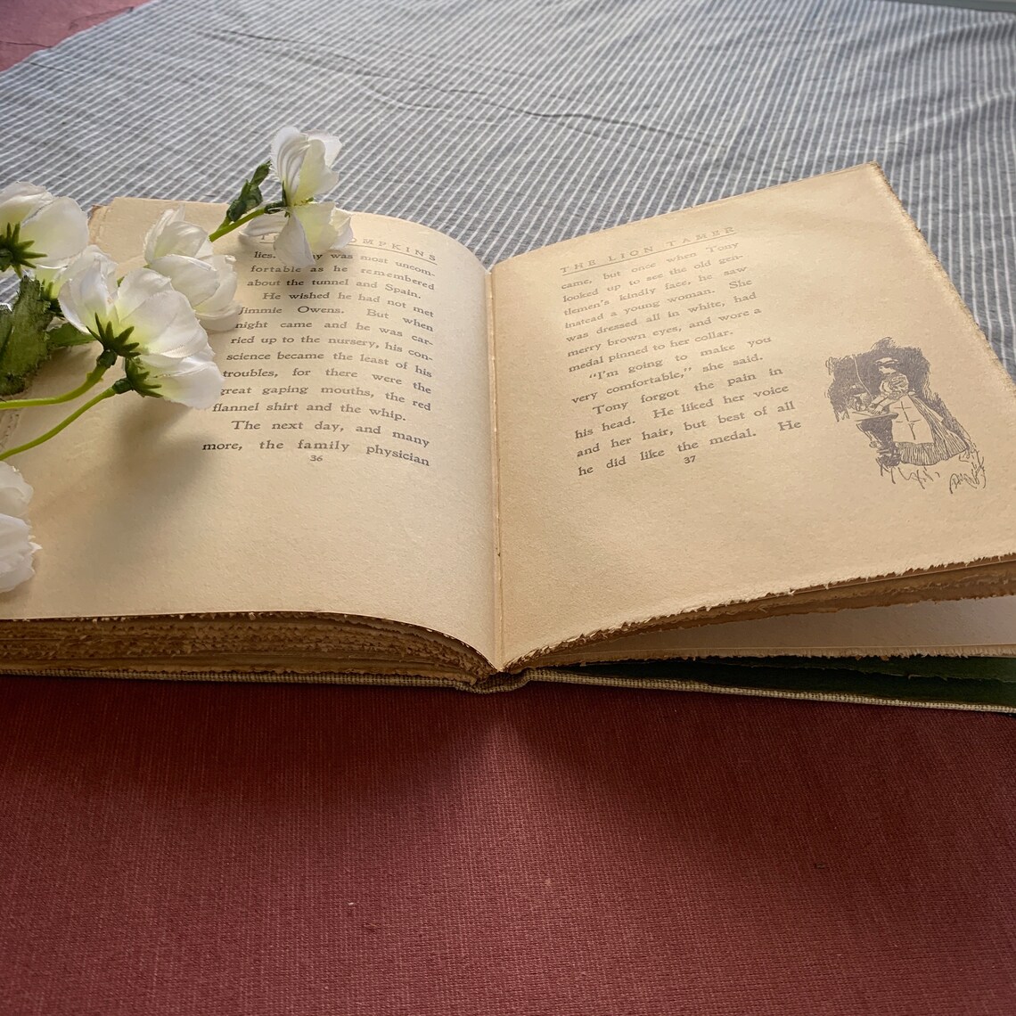 Tony Tompkins: Lion Tamer | Vintage Childrens Book - Etsy