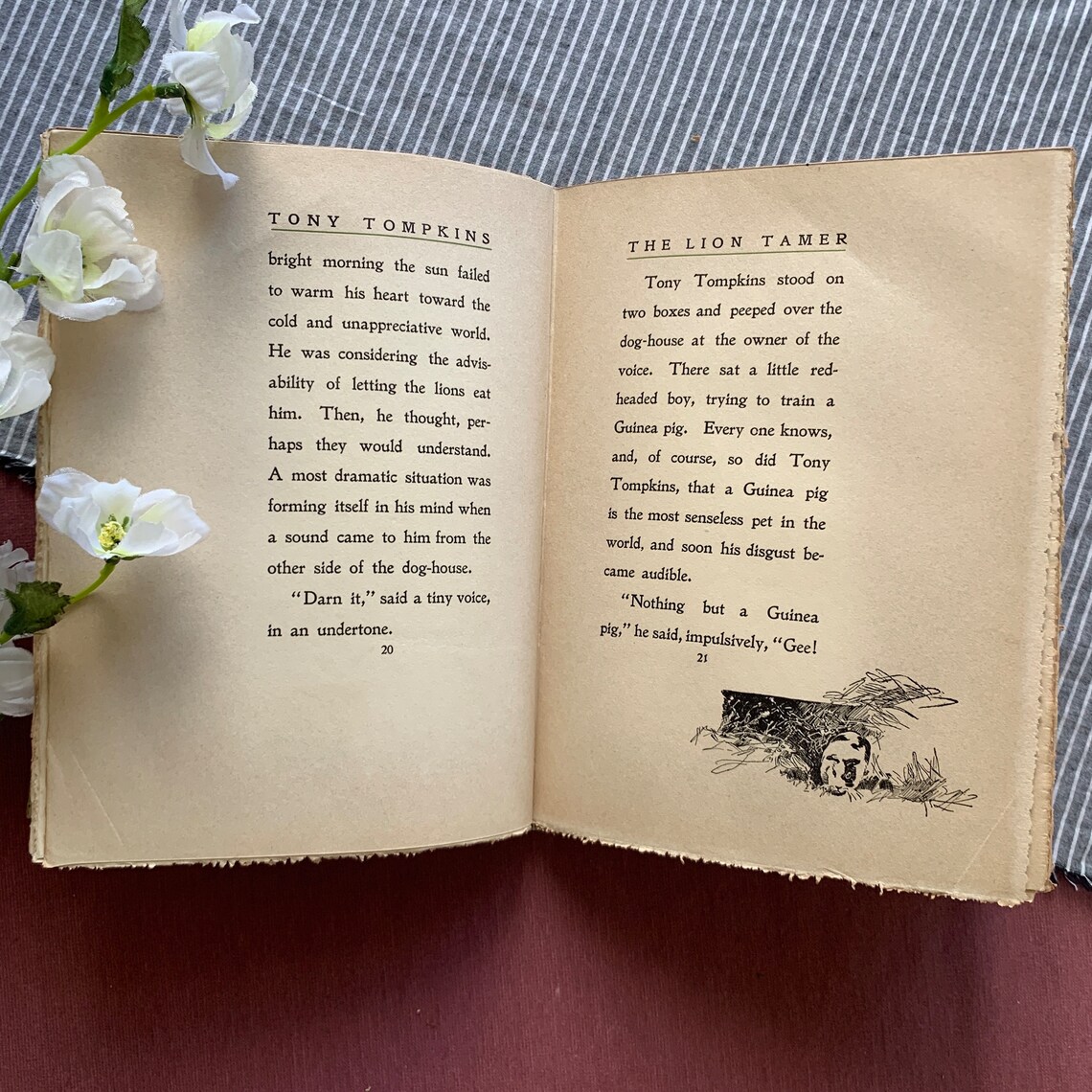 Tony Tompkins: Lion Tamer | Vintage Childrens Book - Etsy