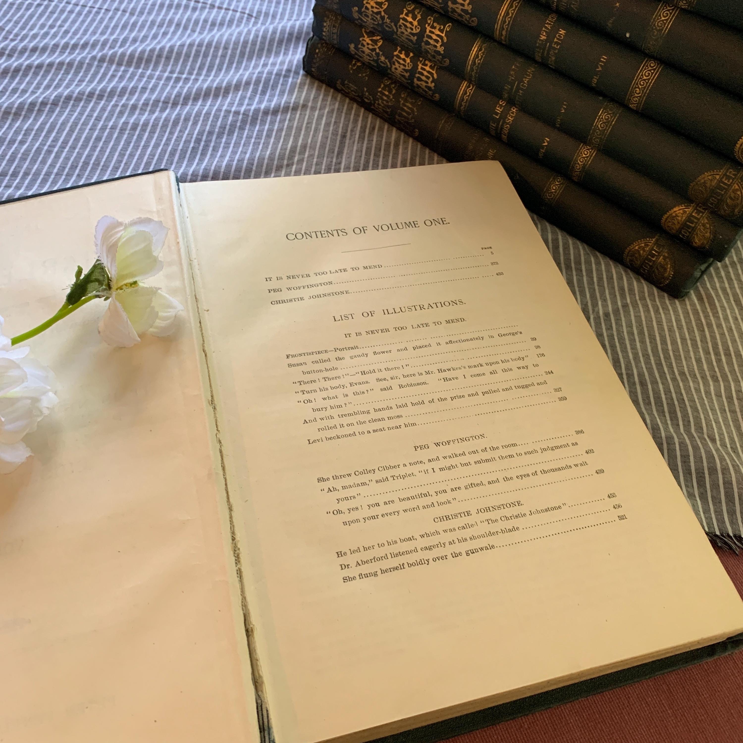 Circa 1890s | the Works of Charles Reade | Vintage Book Set | Vintage ...