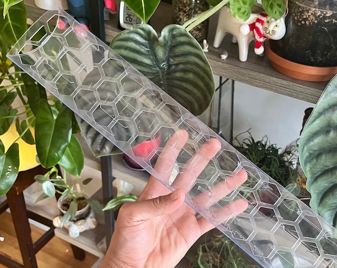 Super Clear Moss Pole D Shaped Stackable Multiple Sizes - Etsy