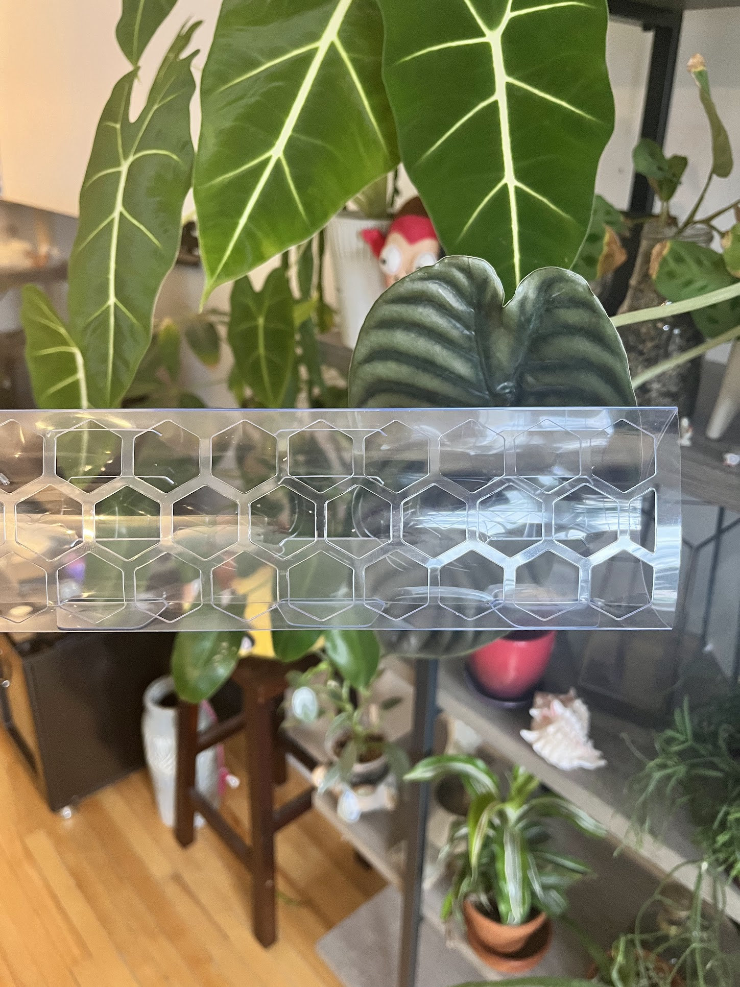 Super Clear Moss Pole D Shaped Stackable Multiple Sizes - Etsy Canada