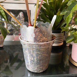 Plant Pot Extender - Clear, Durable Extension for Maximizing Your Pot's ...