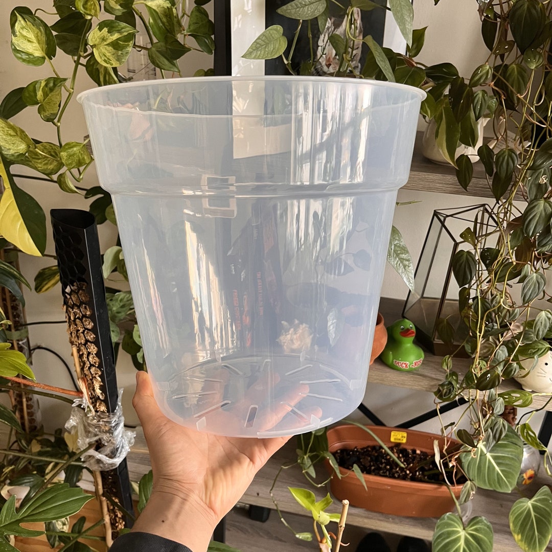Extra Large Jumbo Clear Plastic Plant Pots for Houseplants, Aroids ...