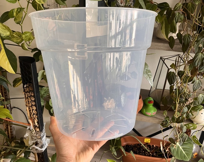 Extra Large Jumbo Clear Plastic Plant Pots for Houseplants, Aroids ...