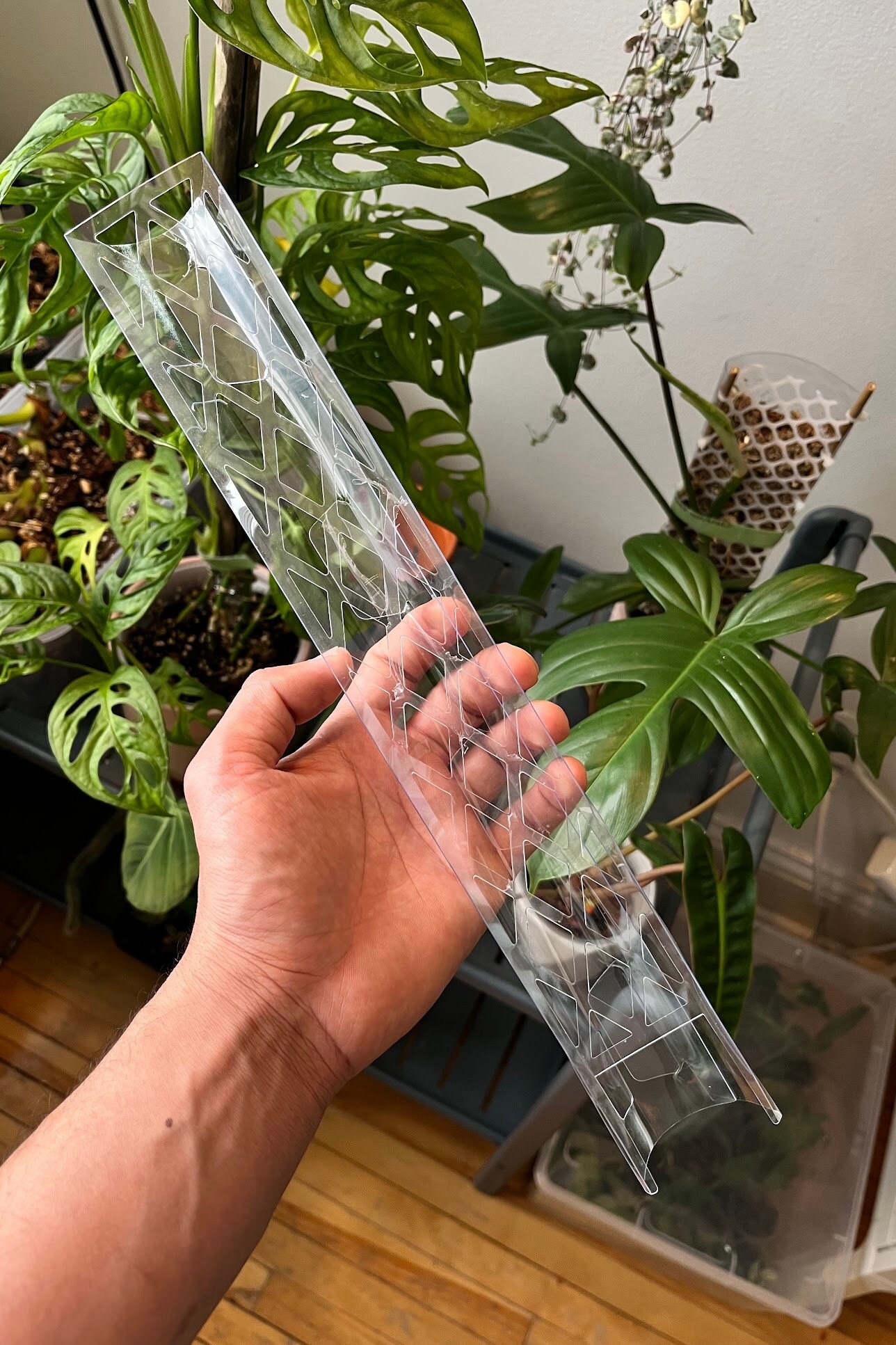 Super Clear Moss Pole D Shaped Stackable Multiple Sizes - Etsy Canada