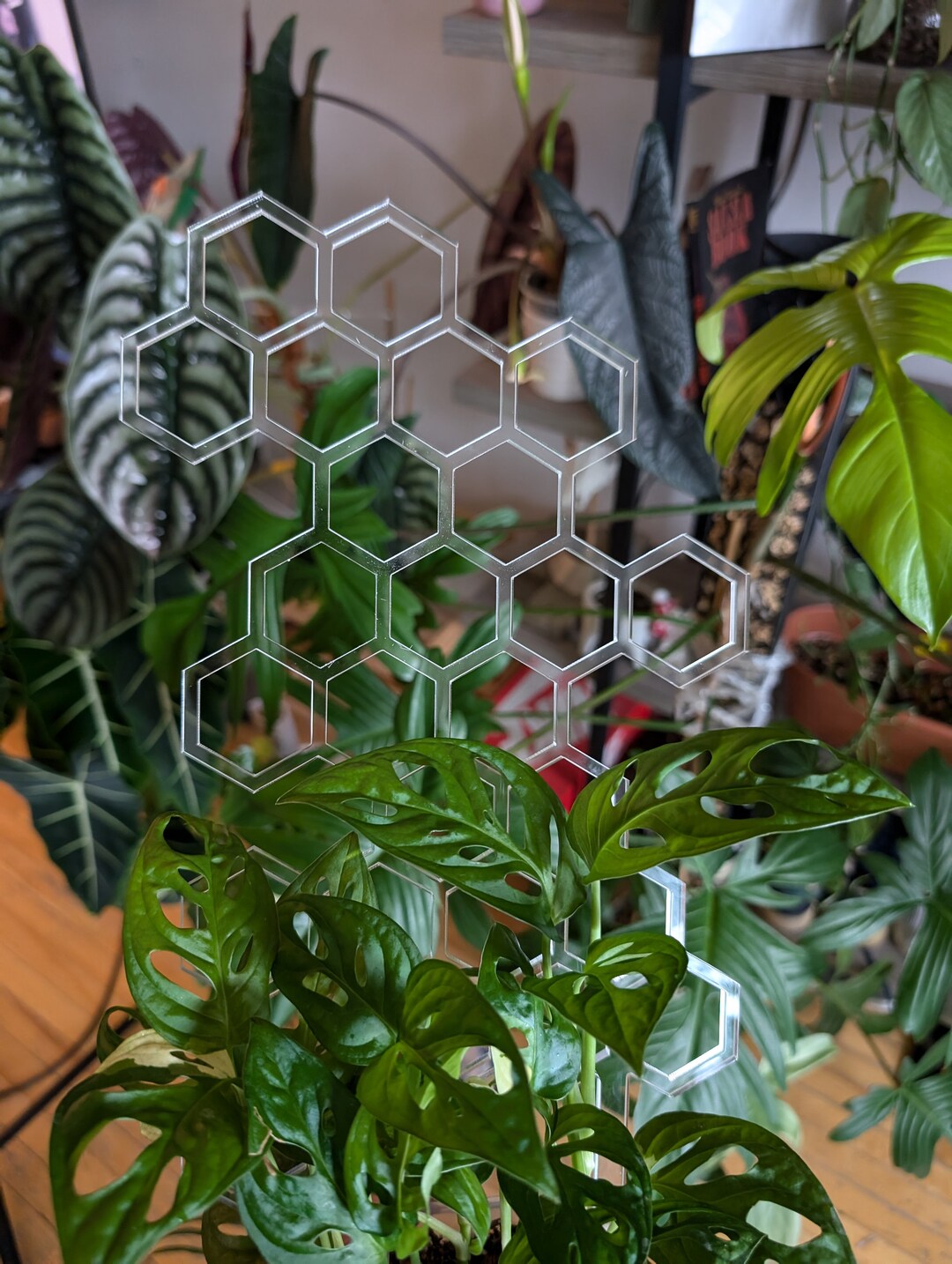 Super Clear Honeycomb Shape Trellis , Hoya Trellis, Indoor Plant ...