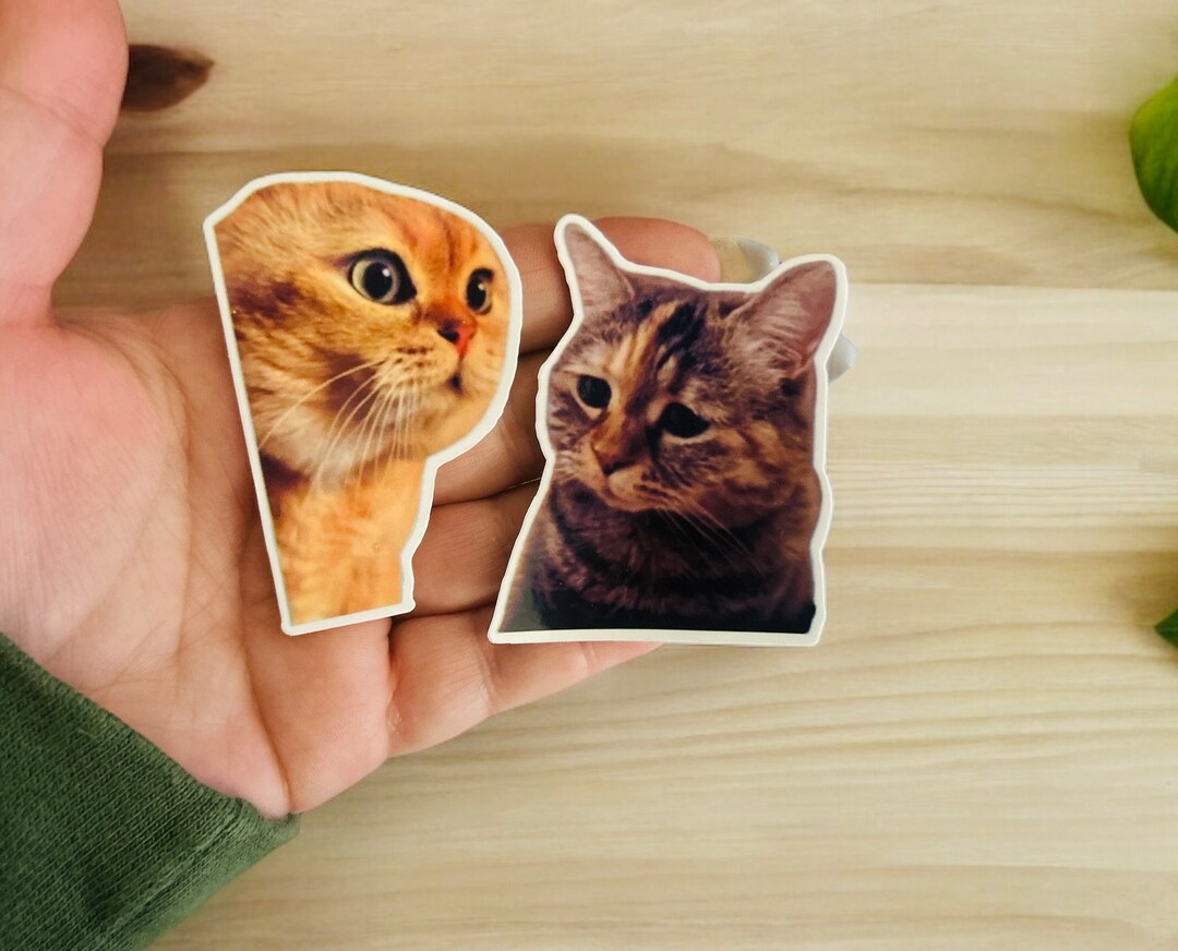 Sad Cat Stickers - Etsy