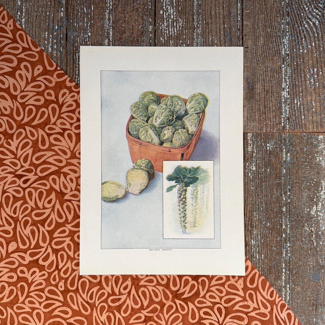 1911 Brussel Sprouts Print! Gift for Foodie! Gourmet Kitchen Decor ...