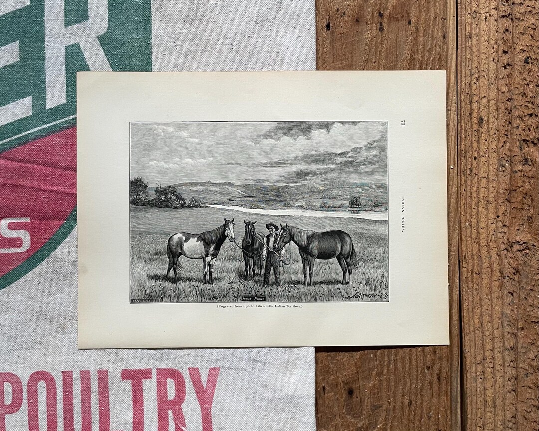 Western Indian Ponies Print! Original Illustration! Antique Framable ...
