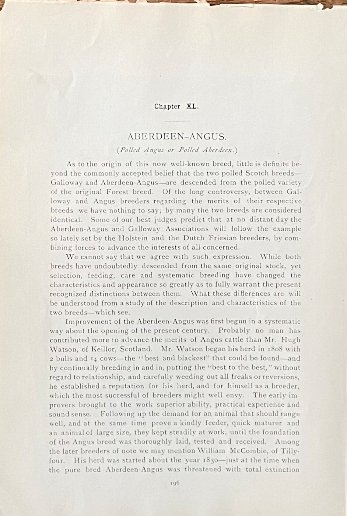 1890s Marion Fifth of Castlemilk Original Framable Print Book ...