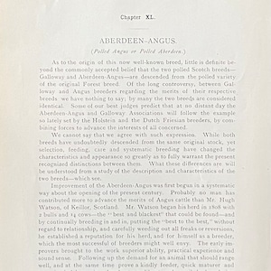 1890s Marion Fifth of Castlemilk Original Framable Print Book ...