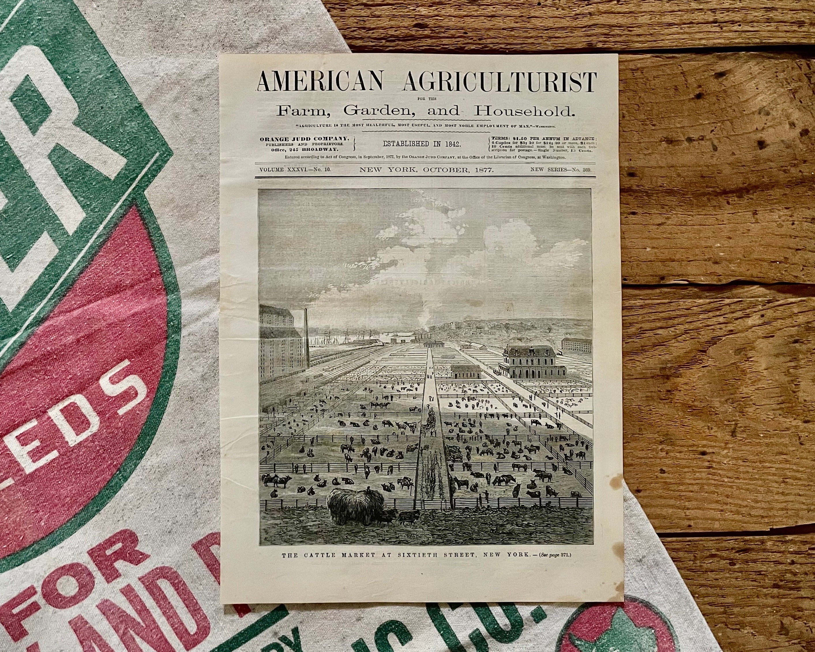 American Agriculturist New York Cattle Market October 1877 Original ...