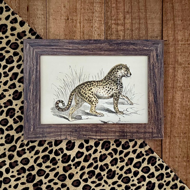 Leopard Lithograph Framed - Etsy