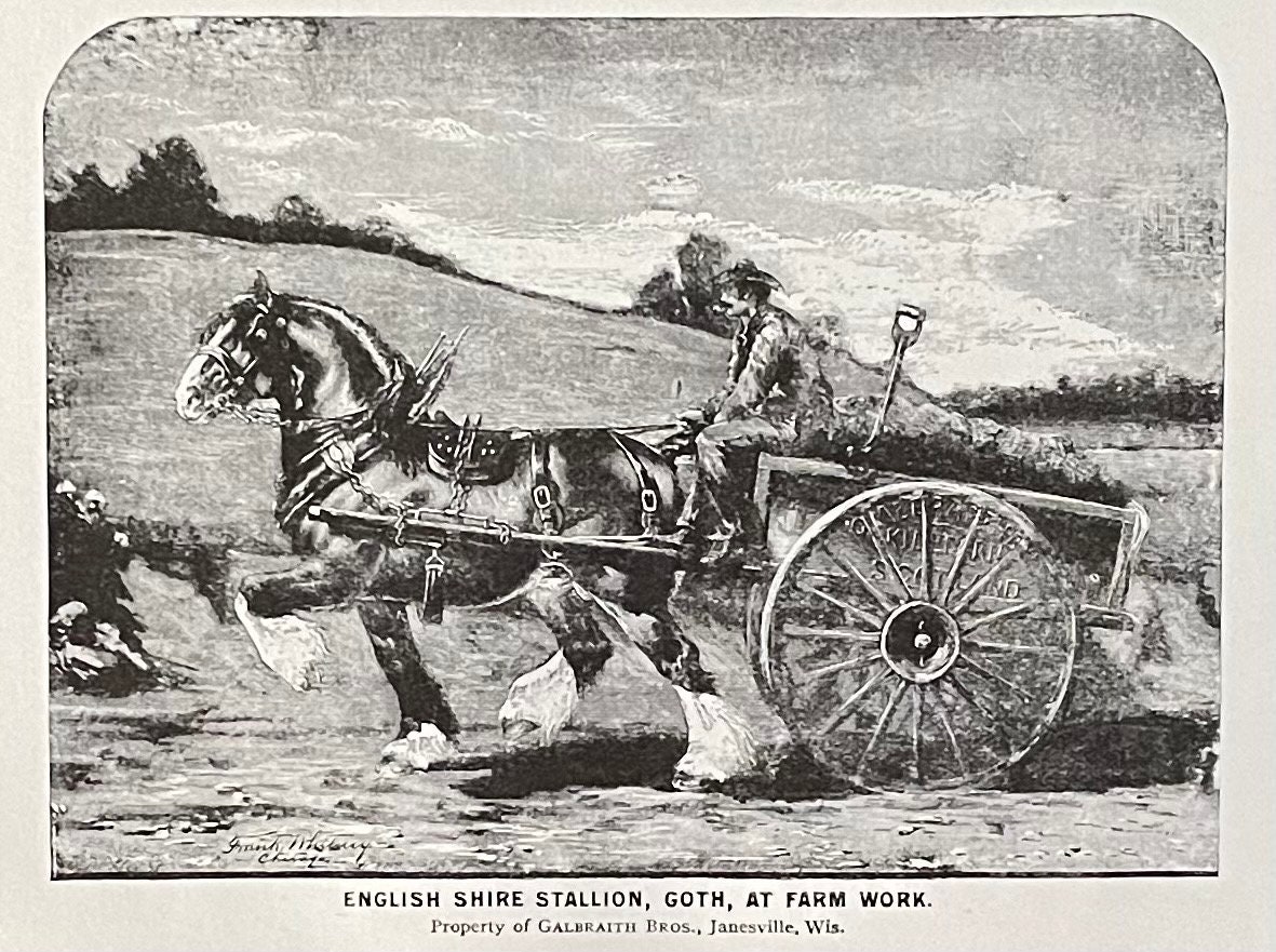 Antique Horse Print: 1890s English Shire Stallion & Wagon - Etsy