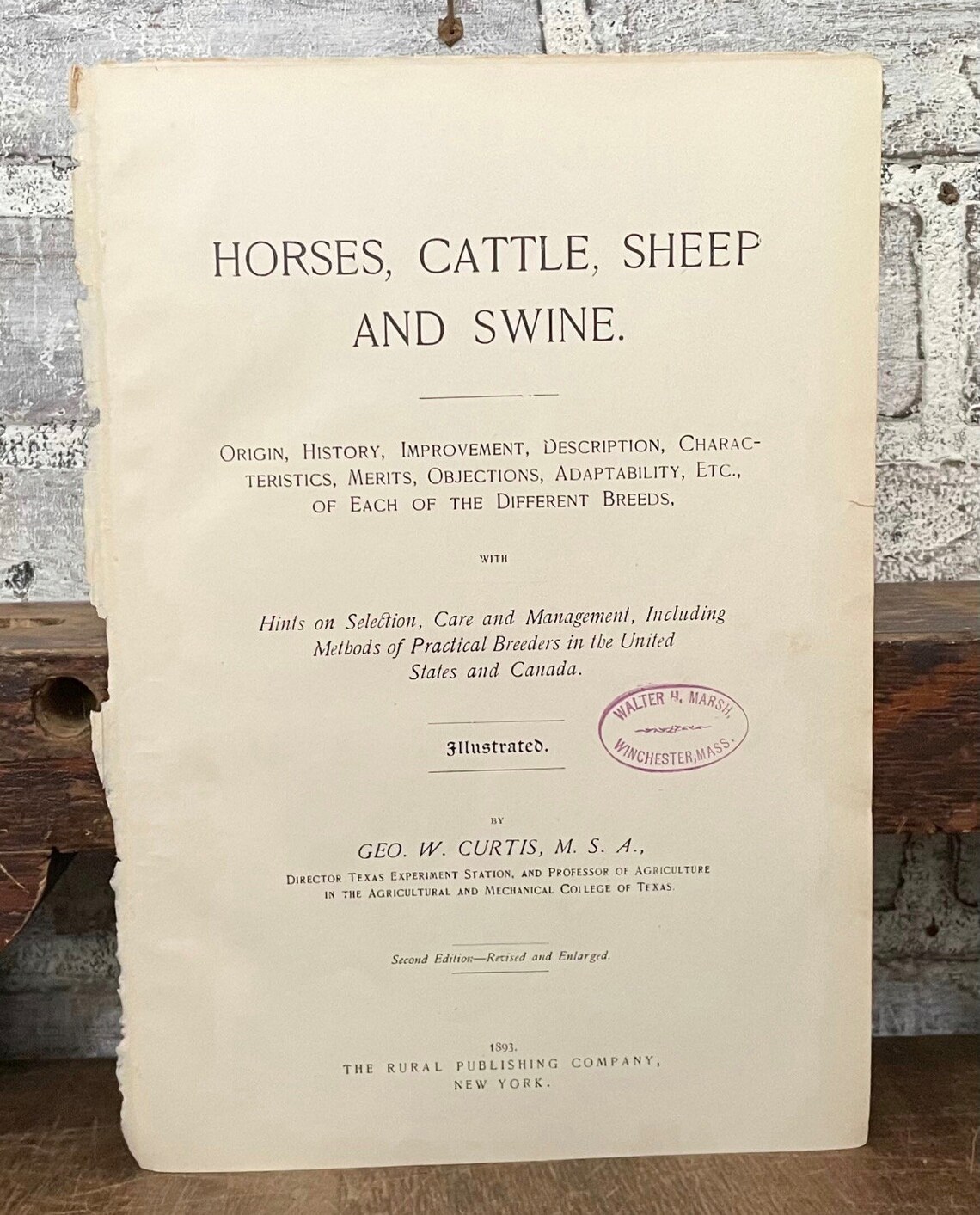 1890s Marion Fifth of Castlemilk Original Framable Print Book ...