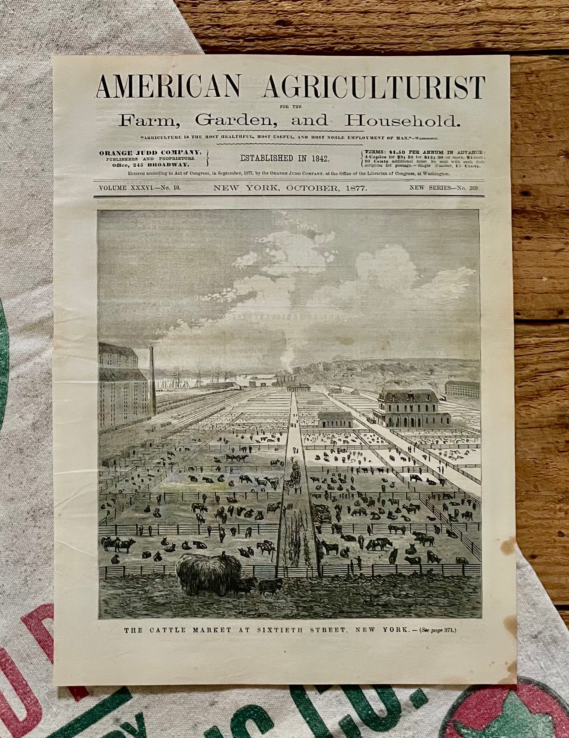 American Agriculturist New York Cattle Market October 1877 Original ...