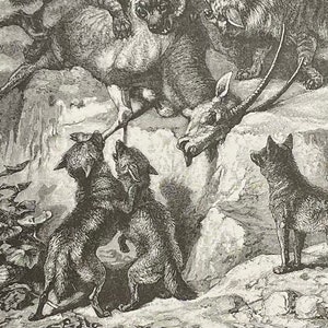 Striped Hyenas Print! Original Black & White Lithograph! Selmar Hess ...