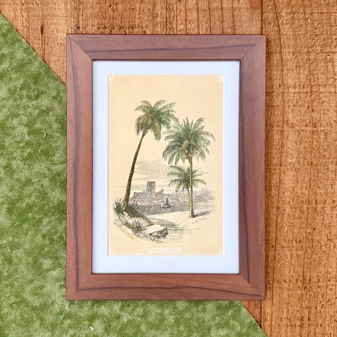 Framed Palm Tree Lithograph: 1860 Antique Botanical Print - Etsy