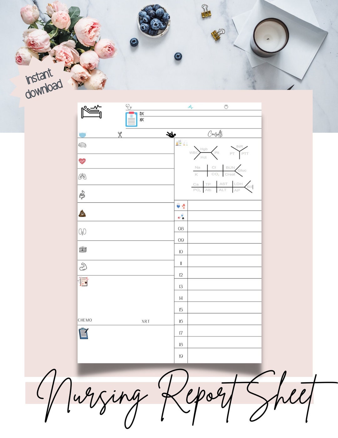 Nursing Brain Sheet, Oncology, With Graphics, One Patient, With Meds - Etsy