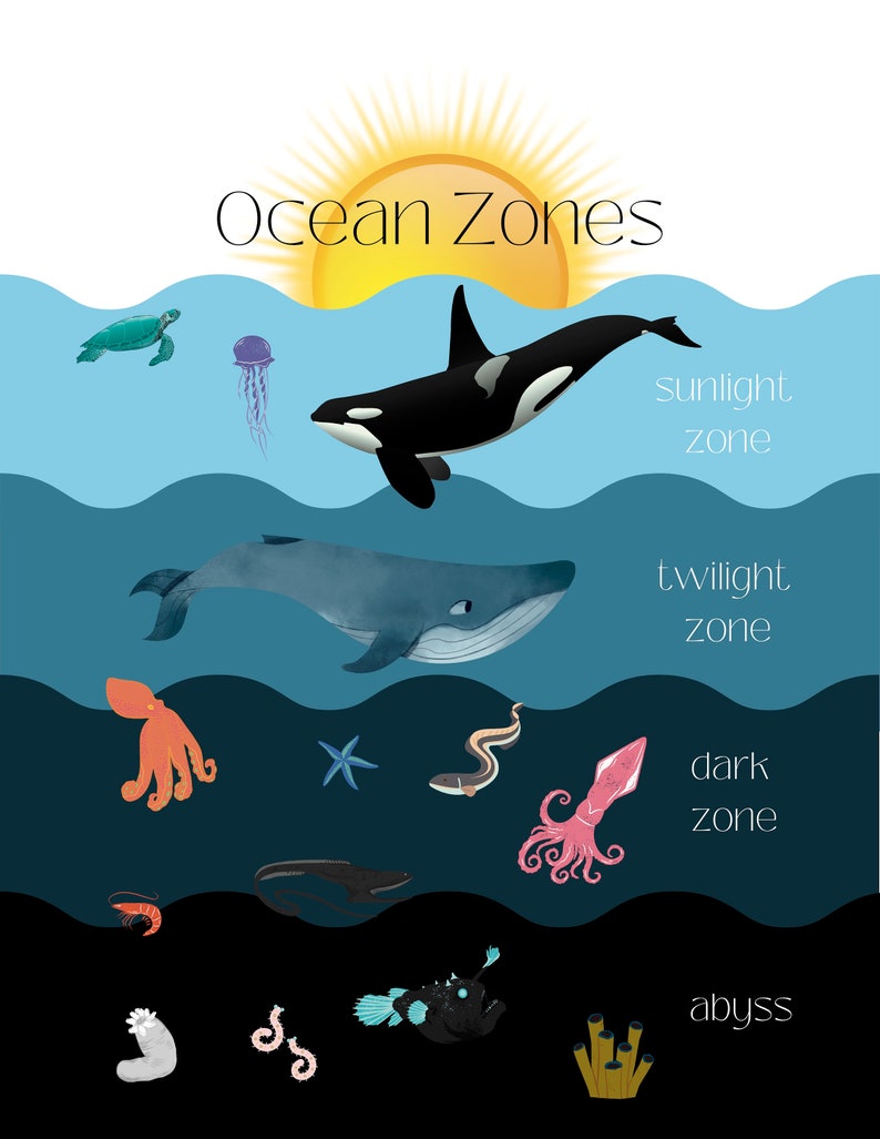 Educational Charts! Solar System, Ocean Zones, Continents - Etsy