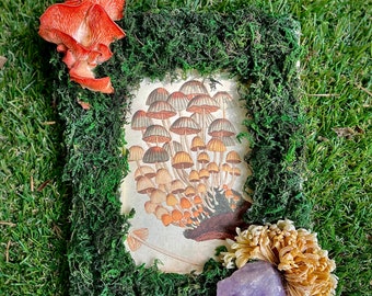 Mushroom Frame - Etsy