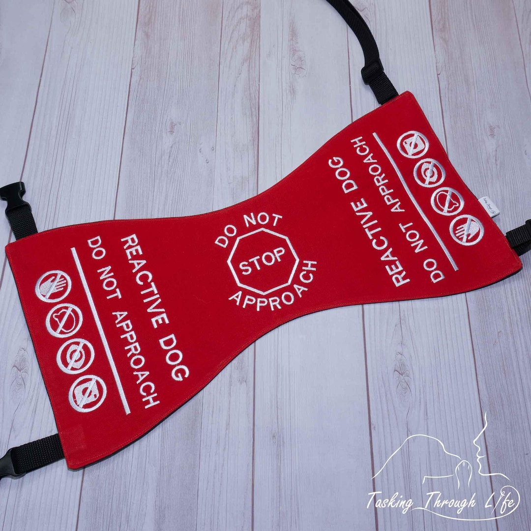 Combo Custom Dog Vest and Leash Wrap Bundle, Dog Bundle, S&R Vest ...