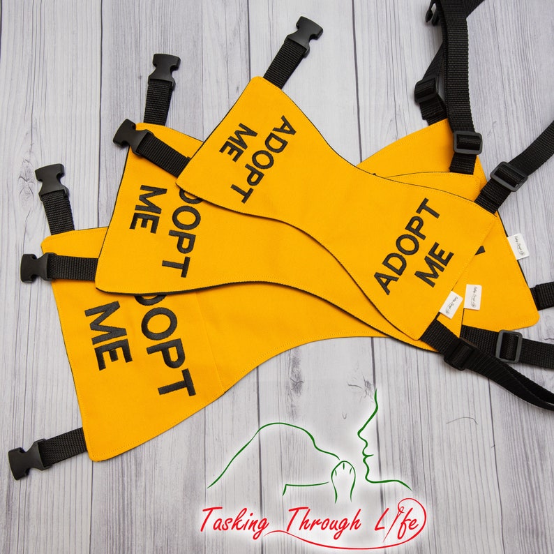 Custom Dog Vest S&R Vest Butterfly Vest Custom Cape Custom - Etsy