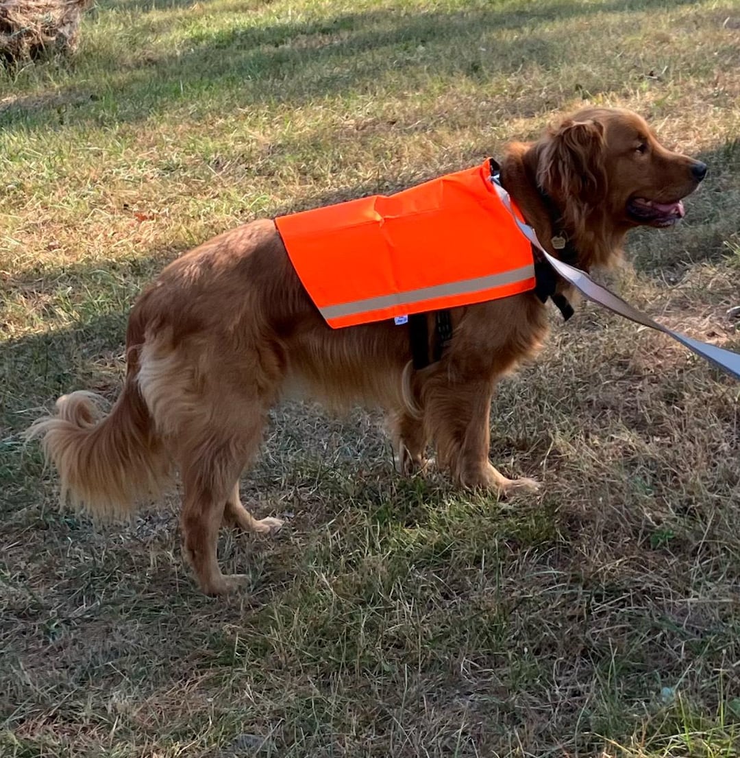 Dog Safety Jacket, Dog Safety Vest, Hunting Safety, High Visibility ...