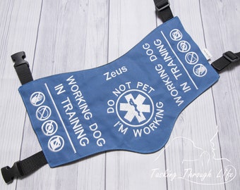 Custom Embroidered Vinyl Vest - Etsy