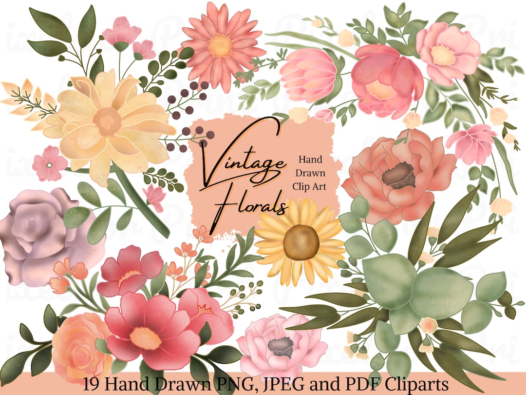 Watercolour Vintage Floral Clipart, Flower PNG, Flower Clipart, Vintage ...