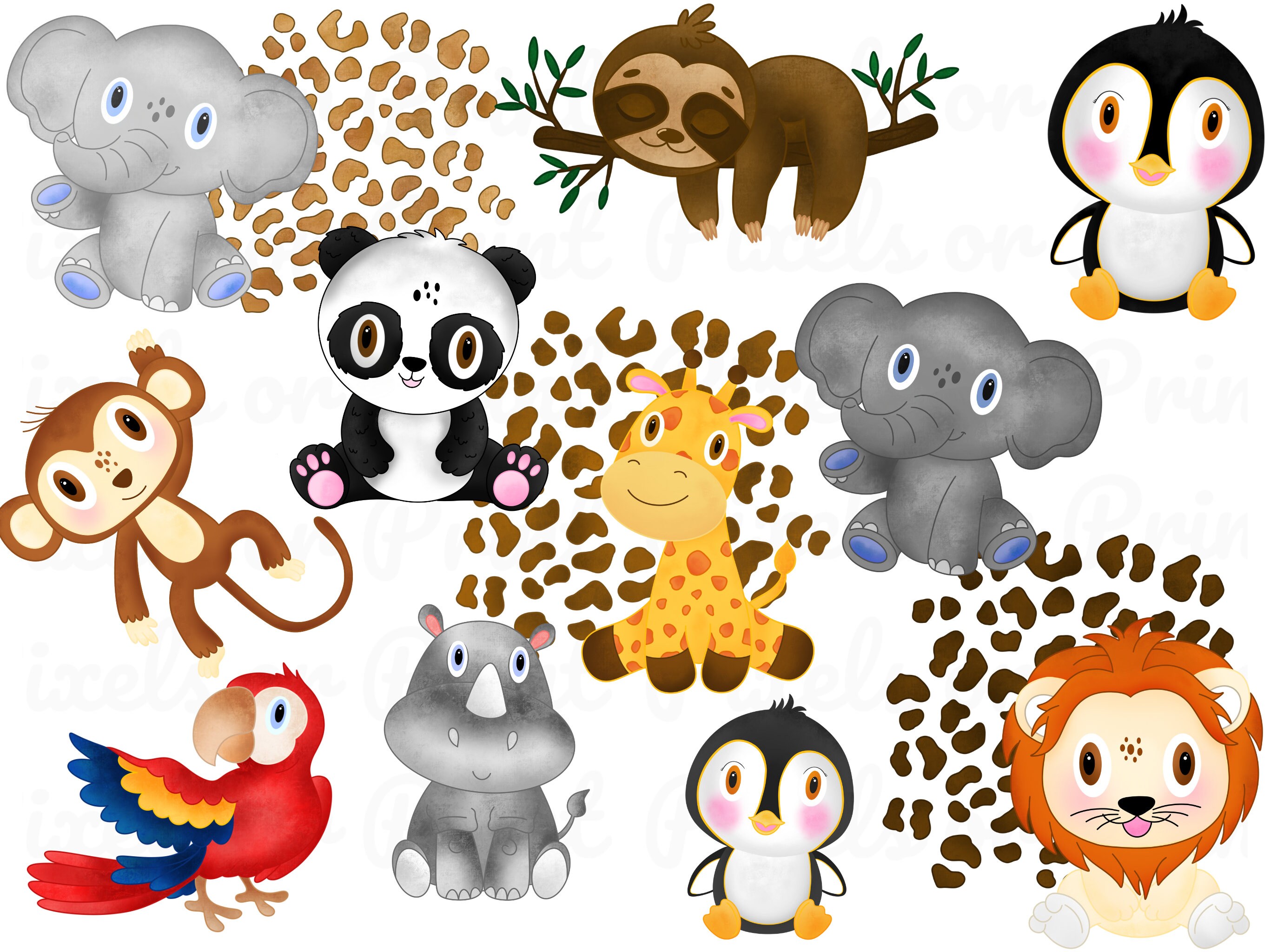 Safari Animal Clipart, Safari PNG, Zoo Clipart, Safari Clipart, Animal ...