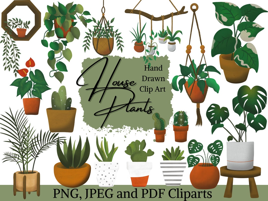 Succulent Plants Clipart, Cosy Boho Clip Art, Watercolour Gardening ...