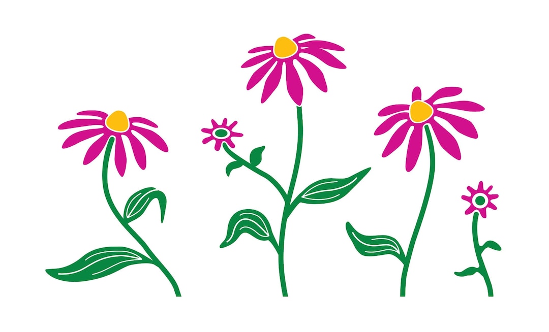 Cone Flowers 3 Color .SVG Cut File for Decorating a Glass Bottle or T ...