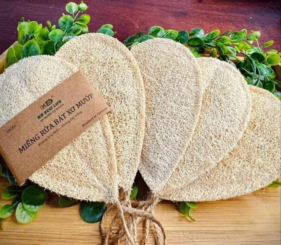 Natural Loofah Set of 10 Loofah Sponge Bath or Kitchen Sponge Organic 100% Biodegradable - Etsy