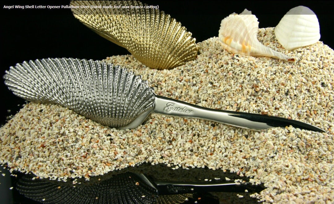 Shell Letter Opener, Angel Wing Shell, Ocean Envelope Opener Knife ...