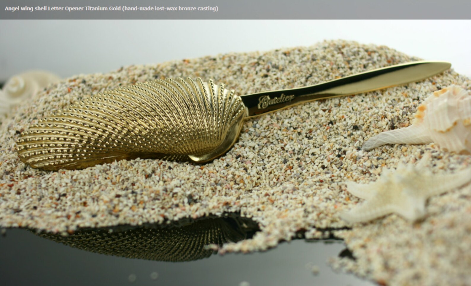 Shell Letter Opener, Angel Wing Shell, Ocean Envelope Opener Knife ...