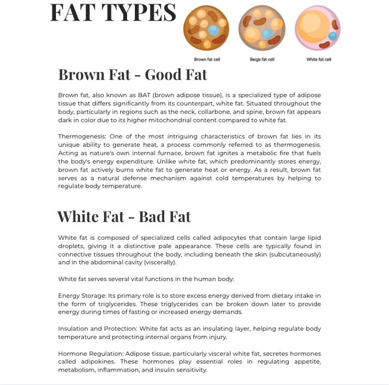 A Simple Guide to Body Sculpting Manual - Etsy