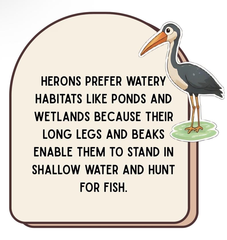 Animal Habitats Busy Book | Montessori Activity | Printable Animal ...