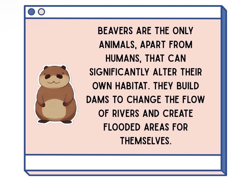 Animal Habitats Busy Book | Montessori Activity | Printable Animal ...