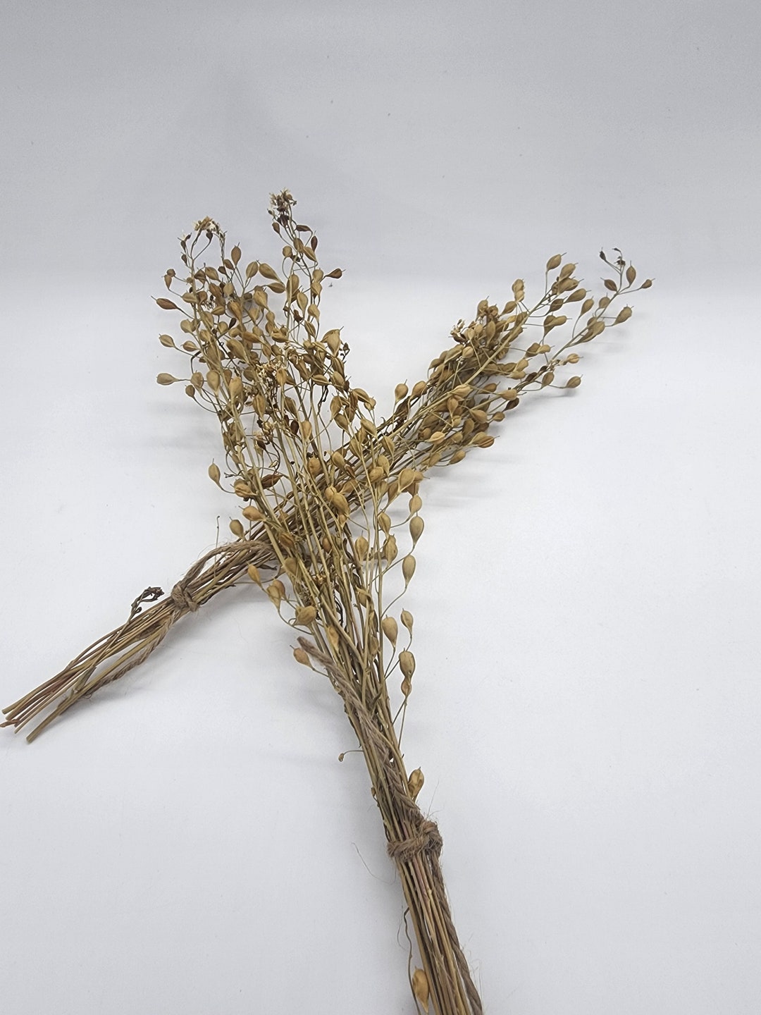 Small Linium Wheat Spray for Hamsters/rodents/small Animals - Etsy