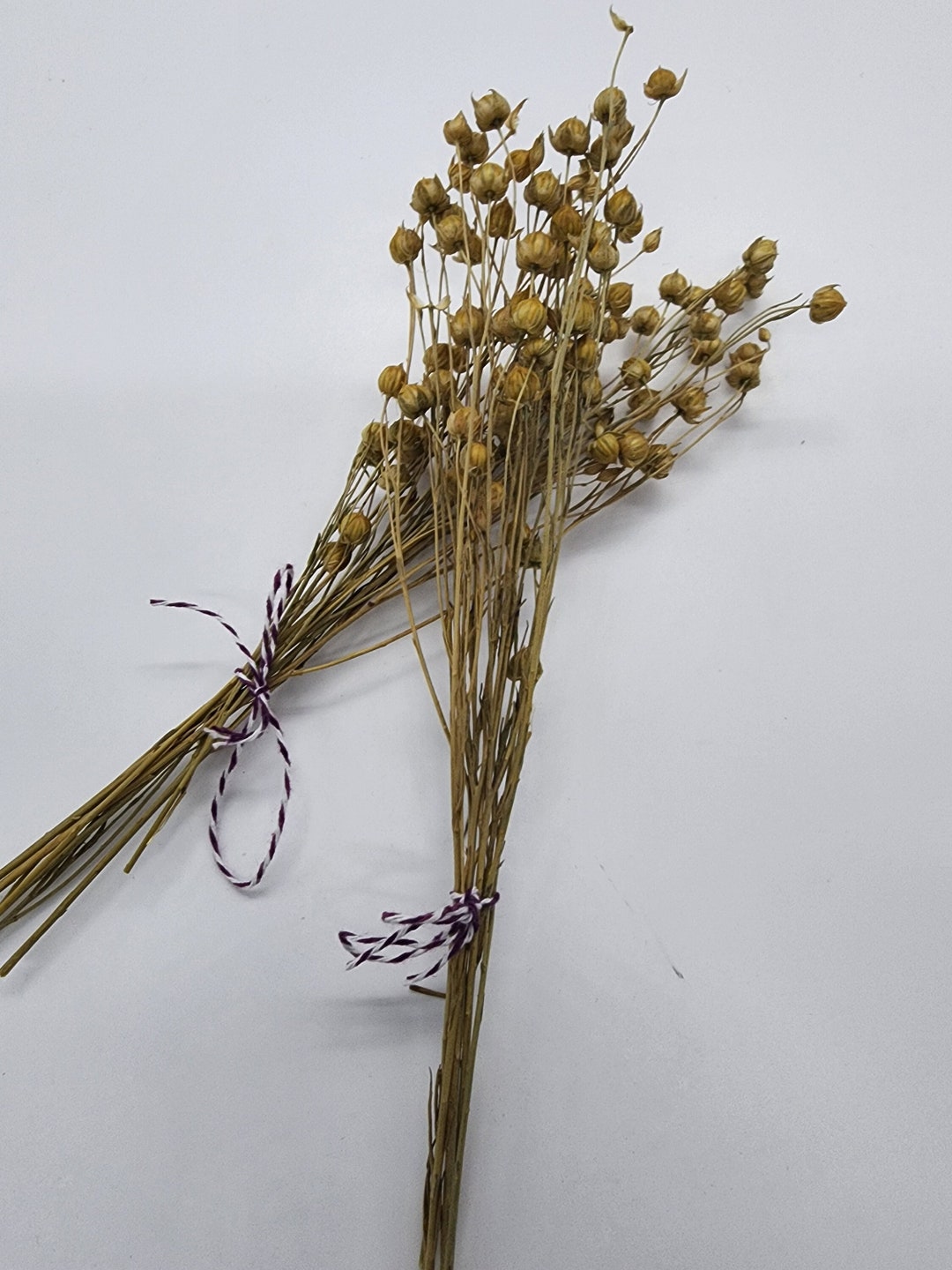 Small Flax Spray for Hamsters | Rodents | Small Animals - Etsy