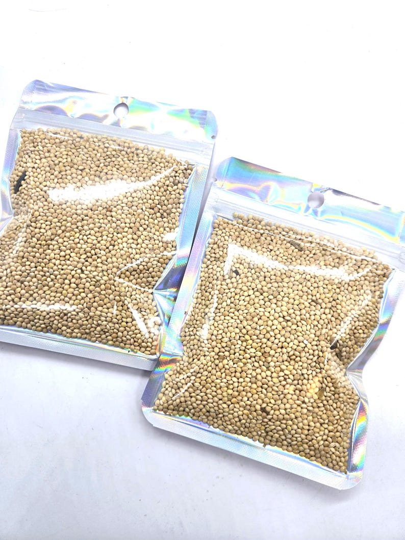 Organic Hamster/rodent Proso Millet and Sunflower Seeds Scoop - Etsy